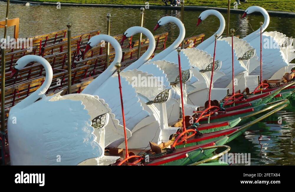 Swan boats Stock Videos & Footage - HD and 4K Video Clips - Alamy