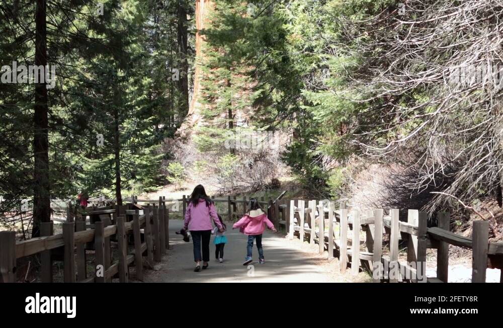 King canyon trail Stock Videos & Footage - HD and 4K Video Clips - Alamy