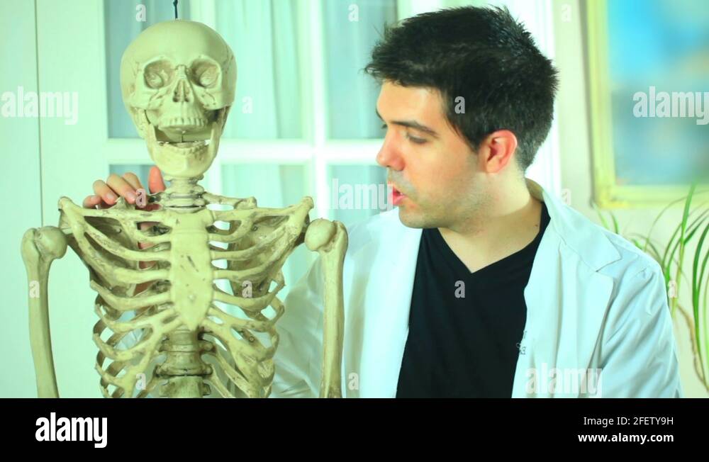 Anatomy class skeleton Stock Videos & Footage - HD and 4K Video Clips ...