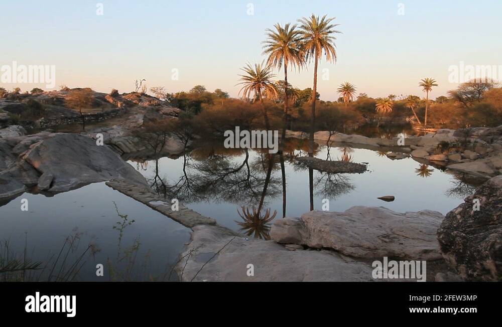 Courtyard with pond Stock Videos & Footage - HD and 4K Video Clips - Alamy