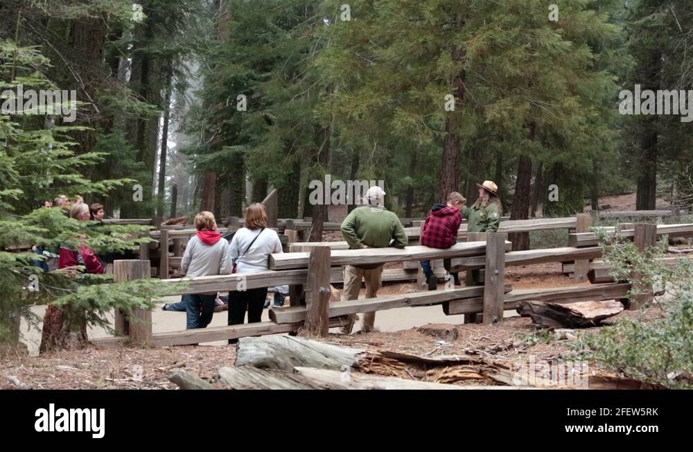 California park ranger Stock Videos & Footage - HD and 4K Video Clips ...