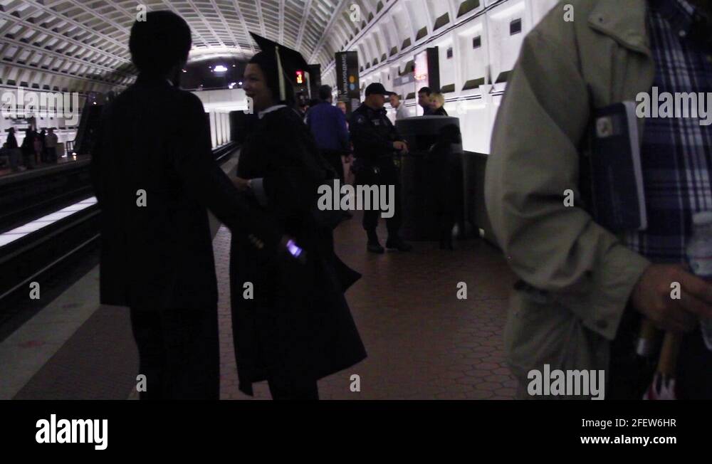 Bomb dogs Stock Videos & Footage - HD and 4K Video Clips - Alamy