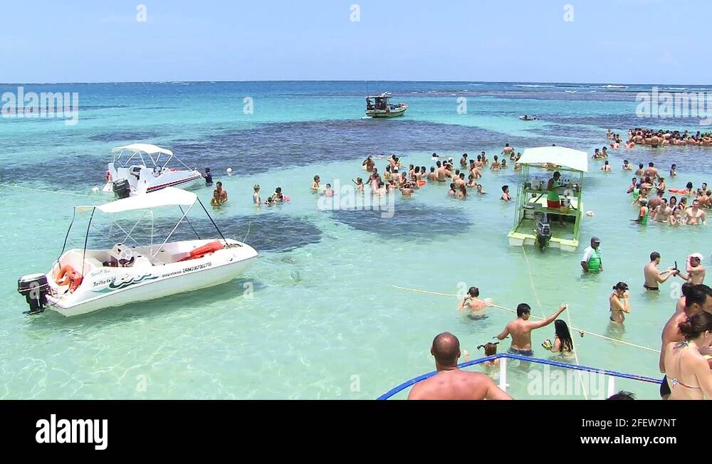 Ethnic groups of brazil Stock Videos & Footage - HD and 4K Video Clips ...