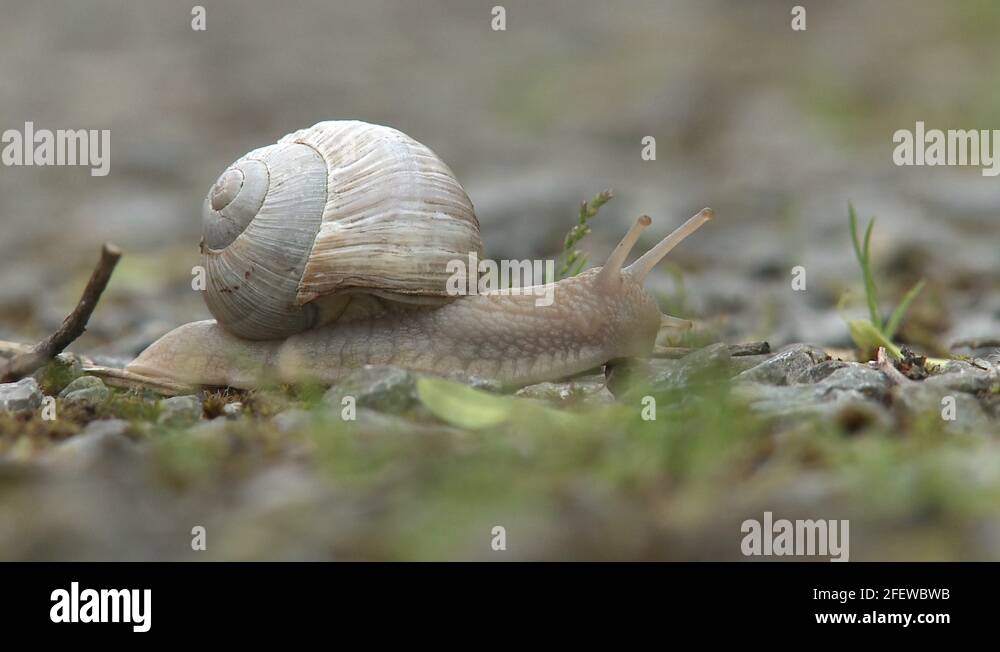 Dial up internet connection Stock Videos & Footage - HD and 4K Video ...