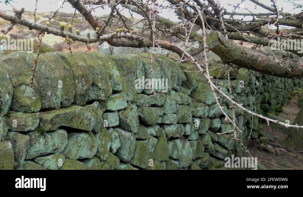 Dry stone wall seat or bench Stock Videos & Footage - HD and 4K Video ...
