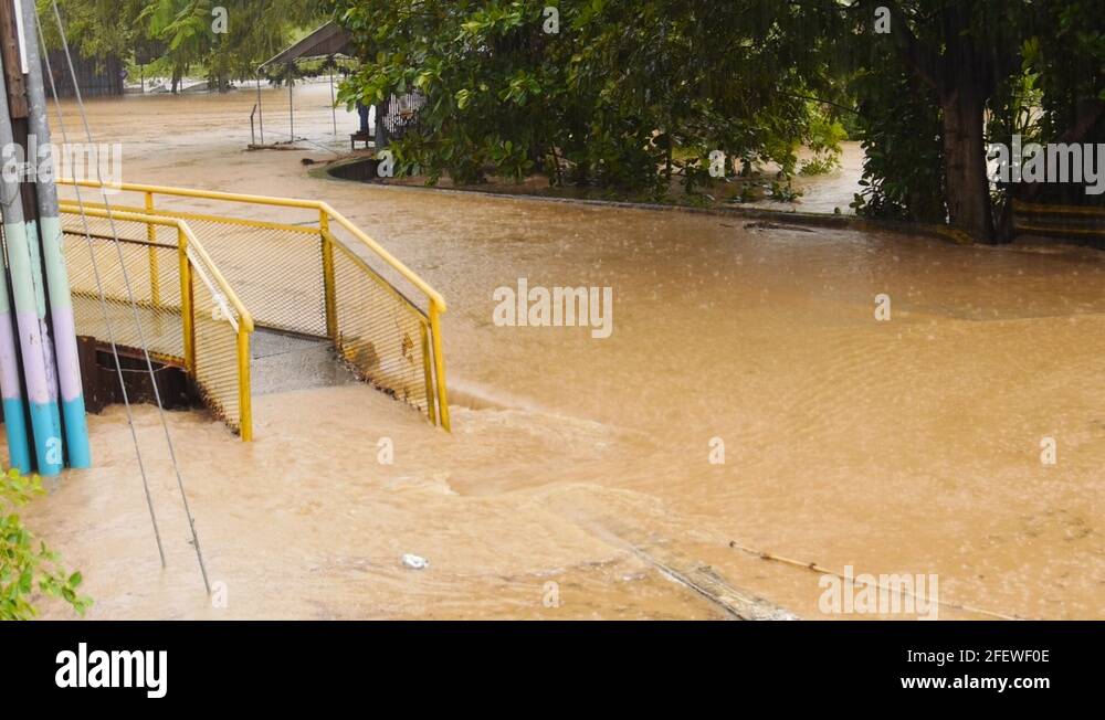 Trapped in the flood Stock Videos & Footage - HD and 4K Video Clips - Alamy