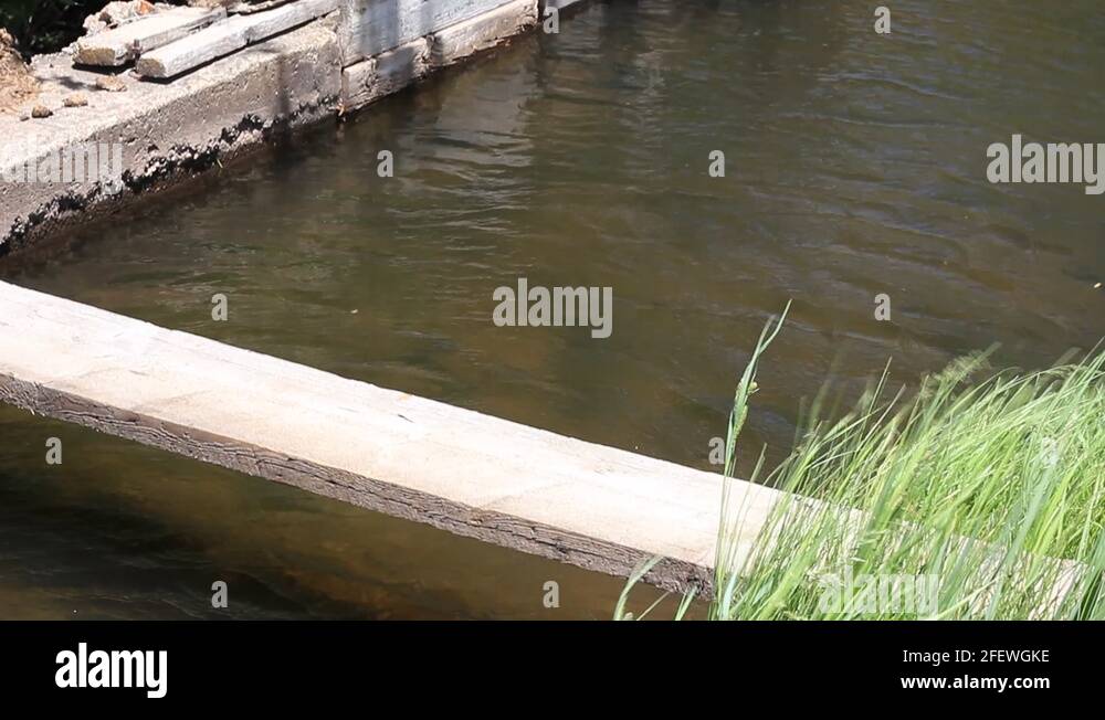 Dam irrigation Stock Videos & Footage - HD and 4K Video Clips - Alamy