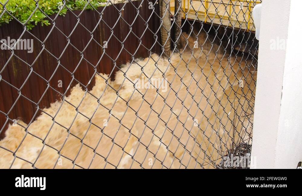Flood control Stock Videos & Footage - HD and 4K Video Clips - Alamy