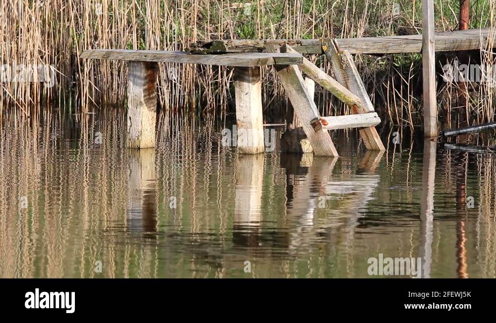Wooden pat Stock Videos & Footage - HD and 4K Video Clips - Alamy