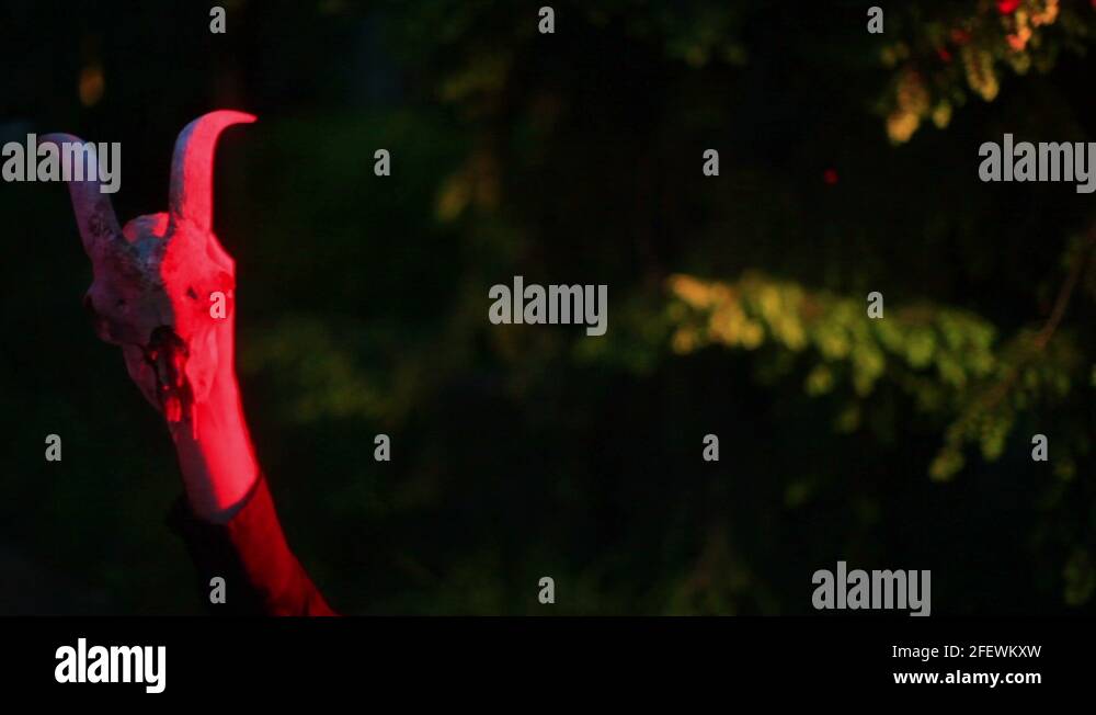 Skull cult Stock Videos & Footage - HD and 4K Video Clips - Alamy