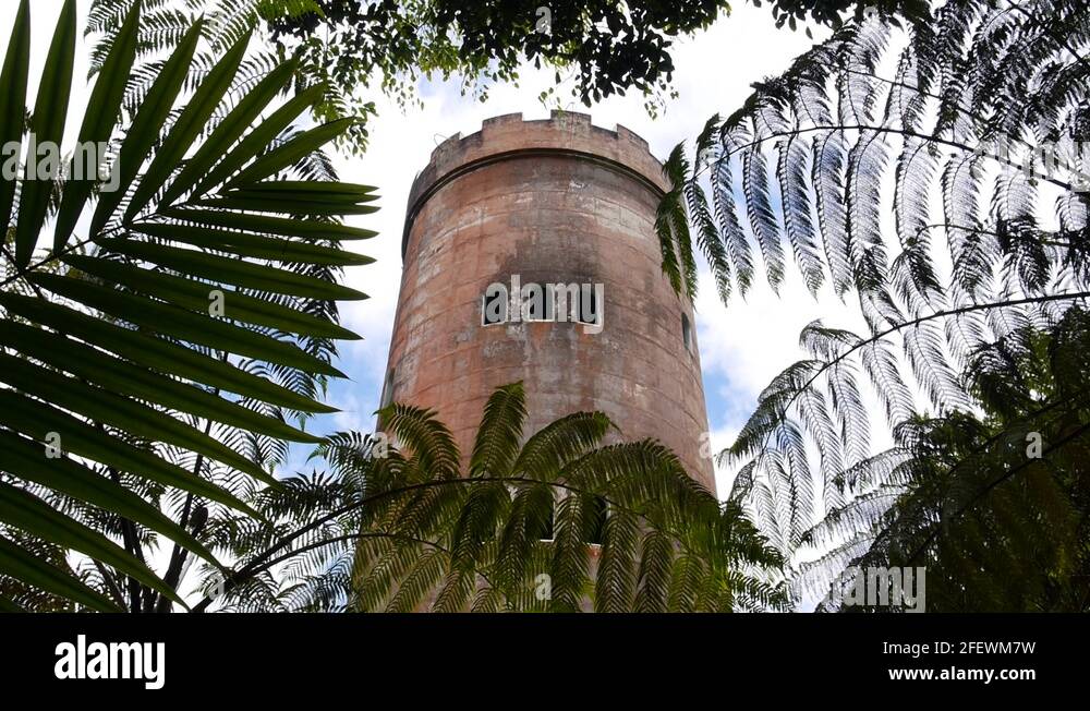 Sentinel tower Stock Videos & Footage - HD and 4K Video Clips - Alamy