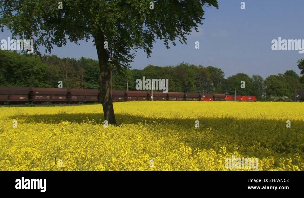 Parcel railway rail Stock Videos & Footage - HD and 4K Video Clips - Alamy