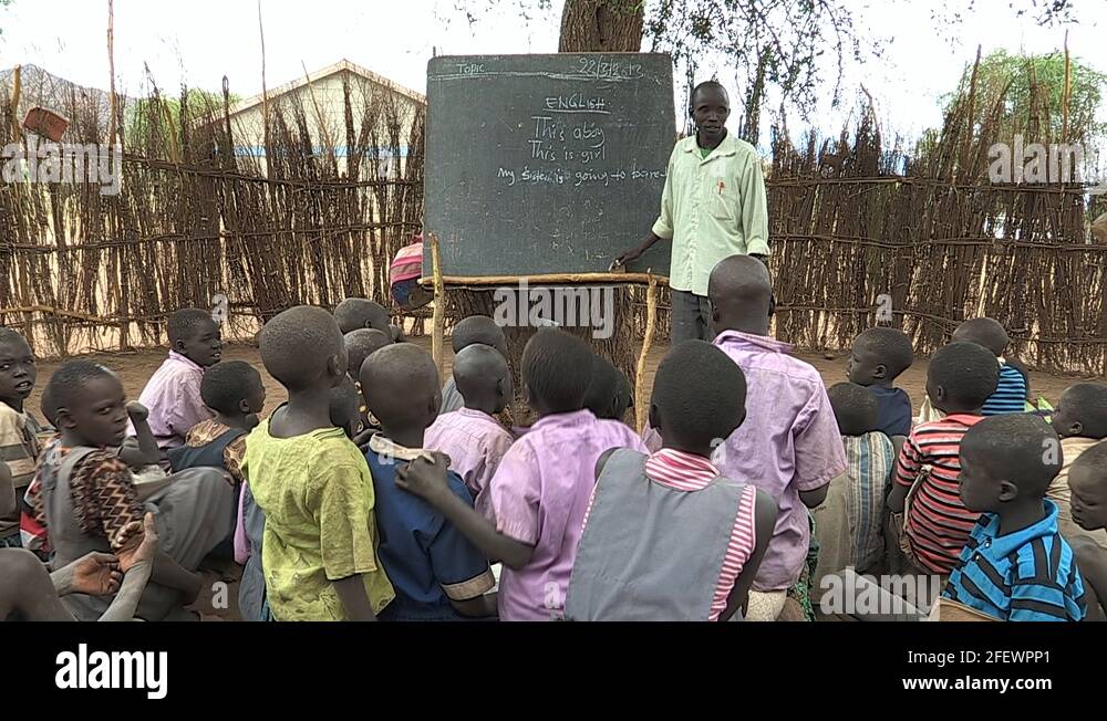 Learning under tree Stock Videos & Footage - HD and 4K Video Clips - Alamy