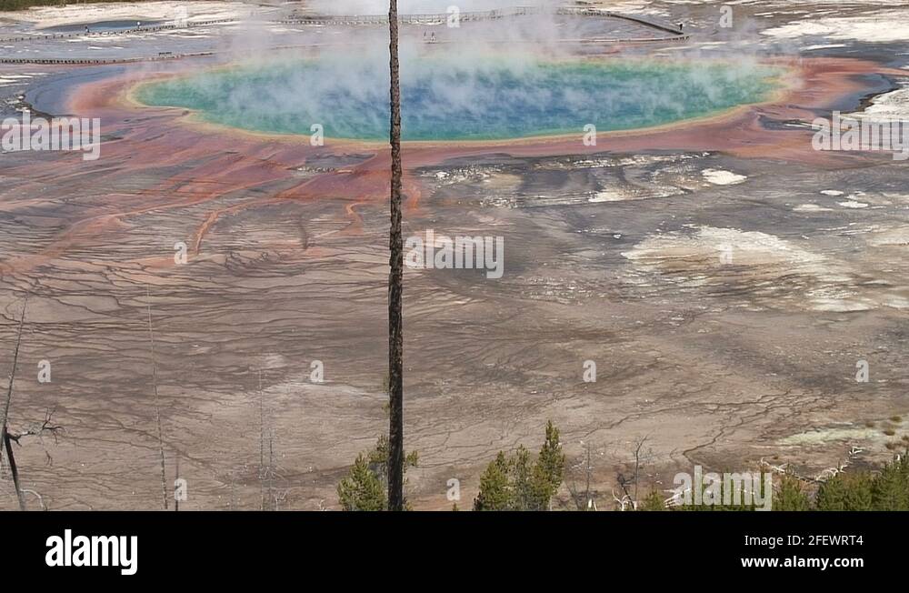 Yellowstone bison grand prismatic Stock Videos & Footage - HD and 4K ...