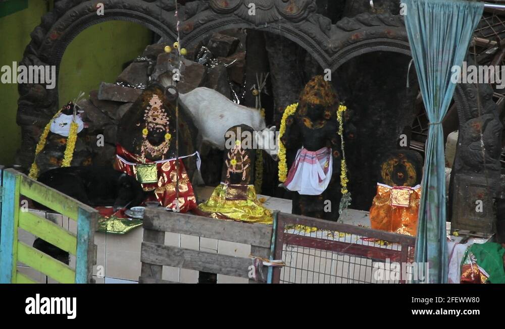 Goat figure Stock Videos & Footage - HD and 4K Video Clips - Alamy