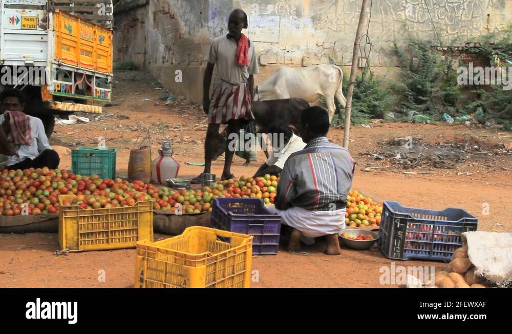 Tamil nadu village Stock Videos & Footage - HD and 4K Video Clips - Alamy