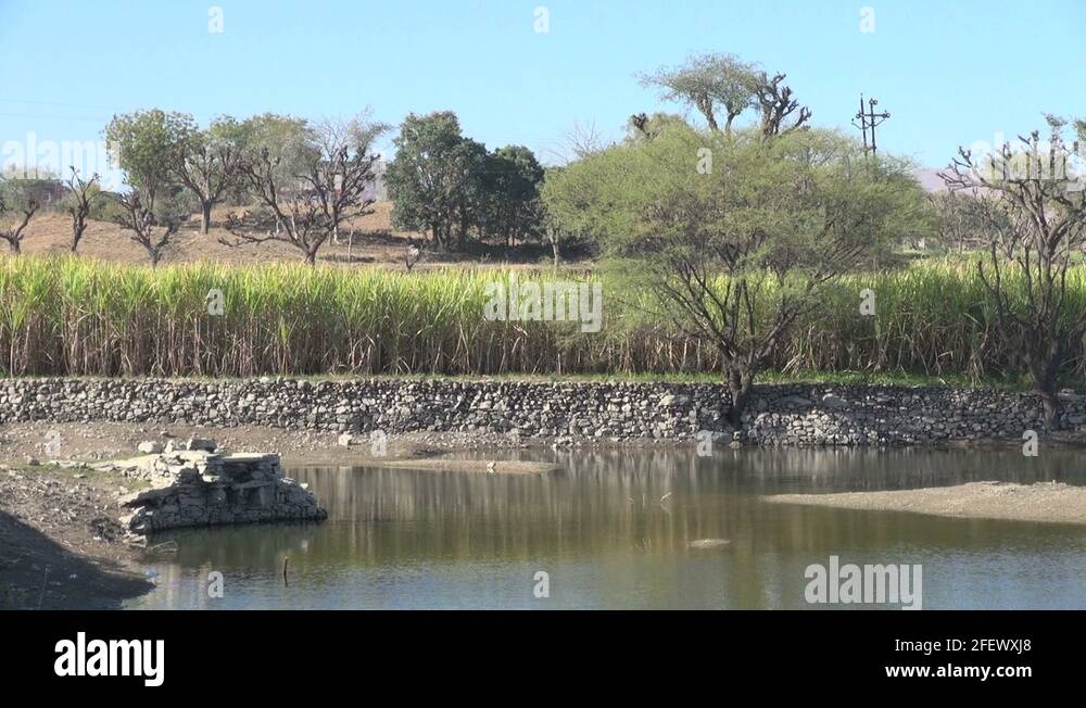 Brick wall separating Stock Videos & Footage - HD and 4K Video Clips ...