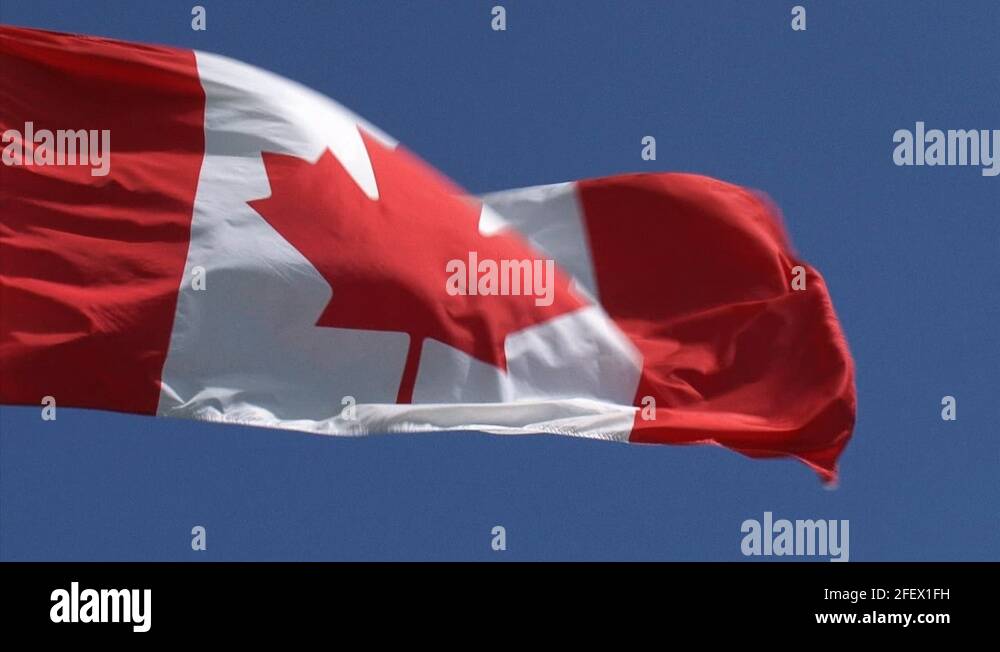 National Flag of Canada, the Maple Leaf waving in blue sky Stock Video ...