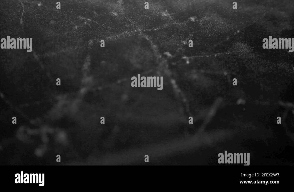 Radioactive trace Stock Videos & Footage - HD and 4K Video Clips - Alamy