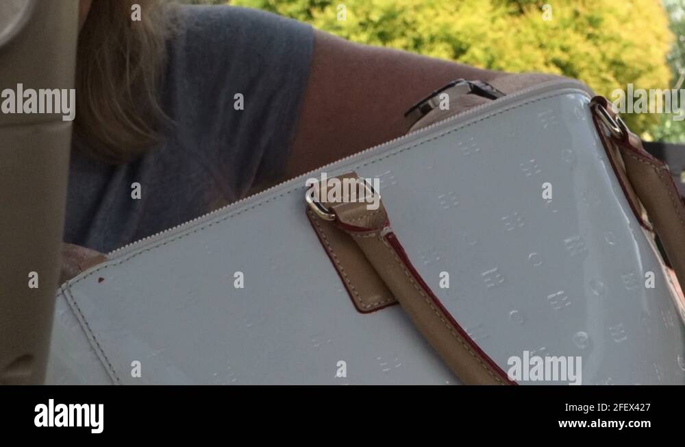 See through purse Stock Videos & Footage - HD and 4K Video Clips - Alamy