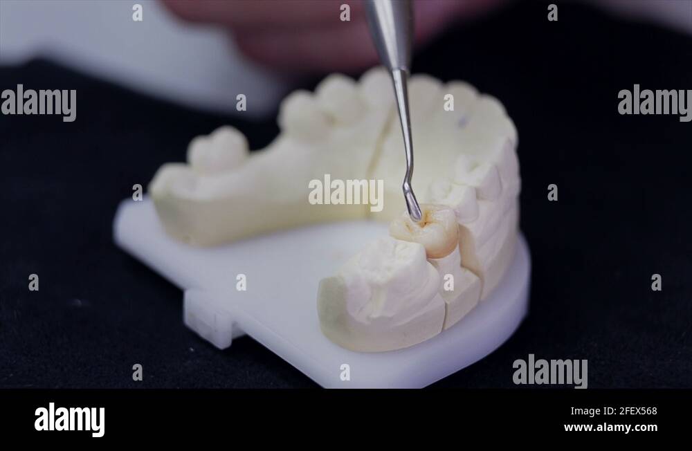 Laboratory molar Stock Videos & Footage - HD and 4K Video Clips - Alamy