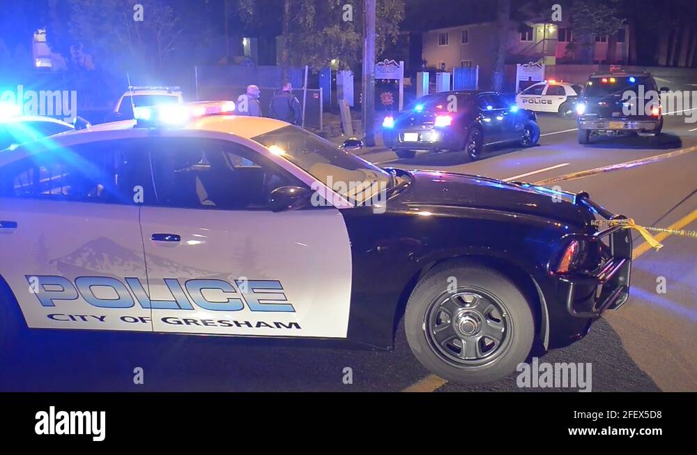 Police car crime scene Stock Videos & Footage - HD and 4K Video Clips ...