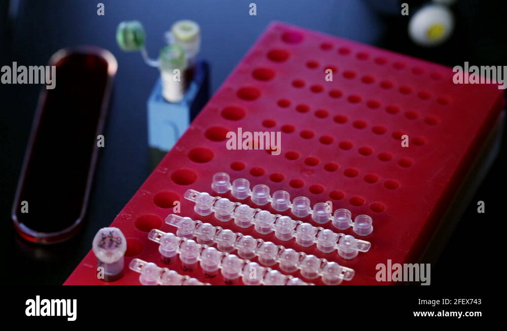 In the microbiology Stock Videos & Footage - HD and 4K Video Clips - Alamy