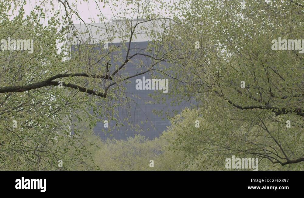 Central Park Spring Stock Video Footage - Alamy