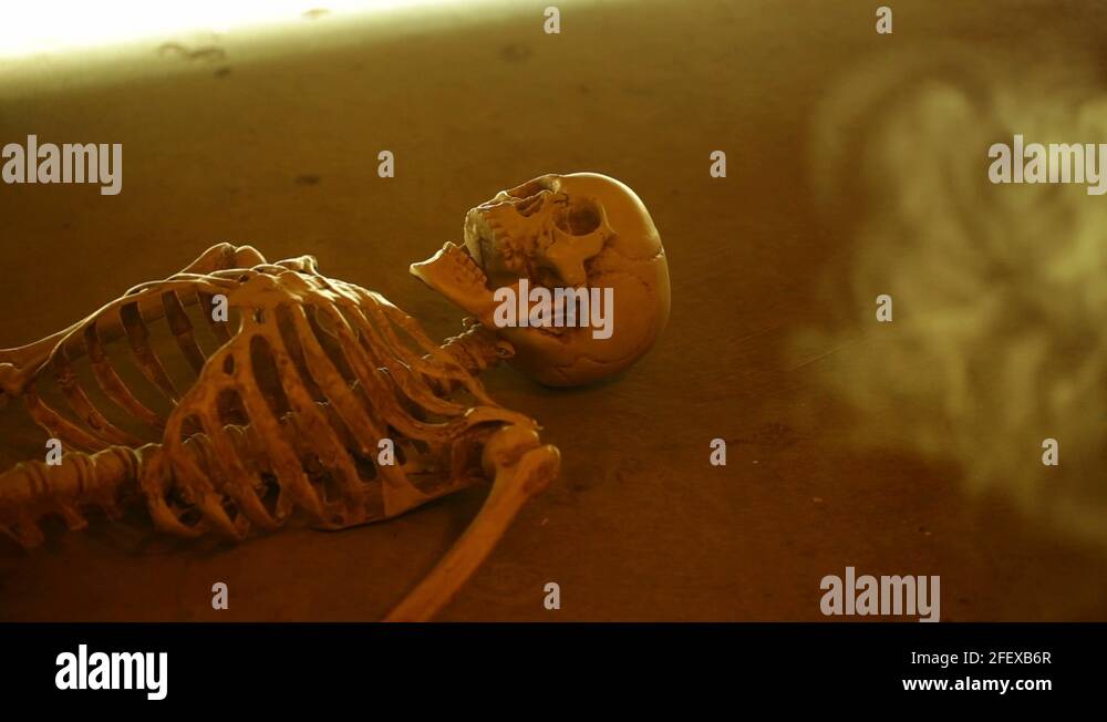 Tomb underground crypt Stock Videos & Footage - HD and 4K Video Clips ...