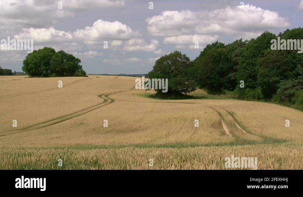 Beautiful german landscape Stock Videos & Footage - HD and 4K Video ...