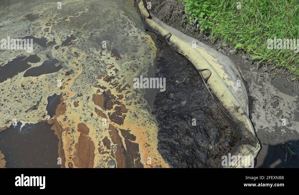 Oil spill pollution Stock Videos & Footage - HD and 4K Video Clips - Alamy