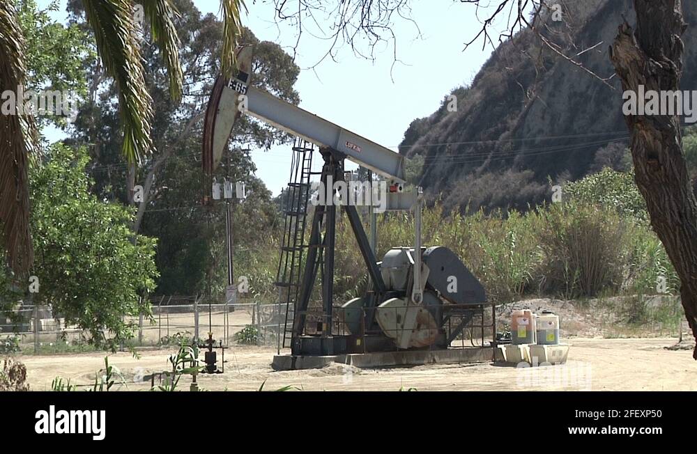 Crude oil palm Stock Videos & Footage - HD and 4K Video Clips - Alamy
