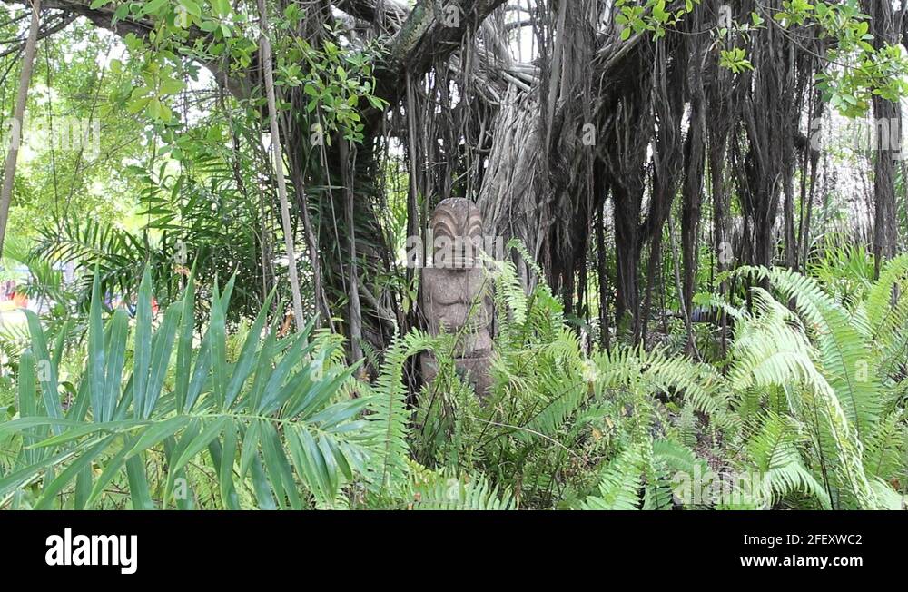 Tahiti Tiki under a tree in Papeete Stock Video Footage - Alamy