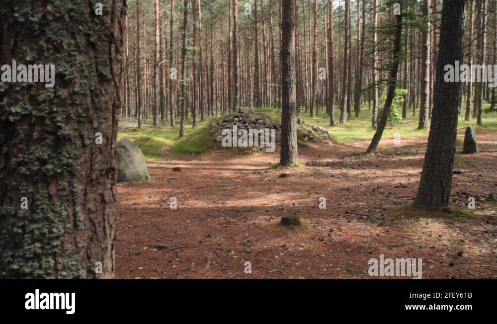 Viking cemetery Stock Videos & Footage - HD and 4K Video Clips - Alamy