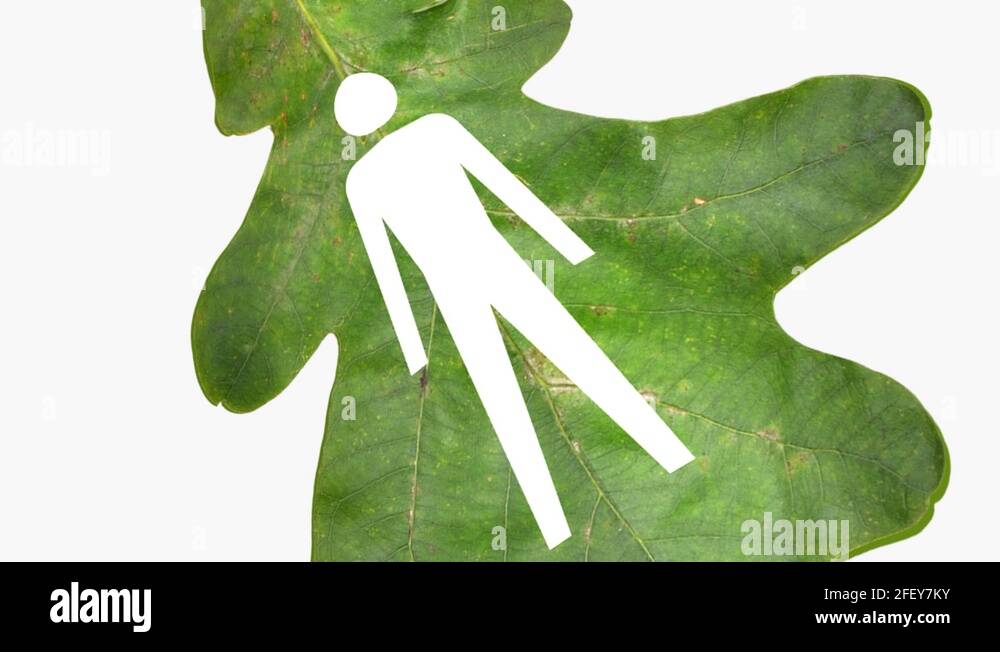 Internet tree Stock Videos & Footage - HD and 4K Video Clips - Alamy