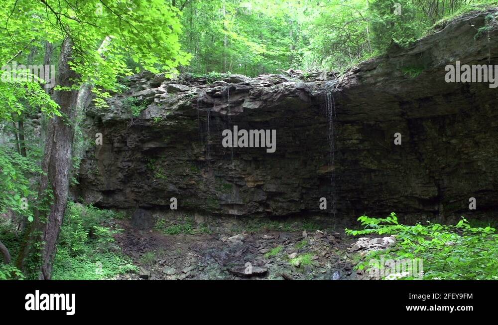 Hidden in nature Stock Videos & Footage - HD and 4K Video Clips - Alamy