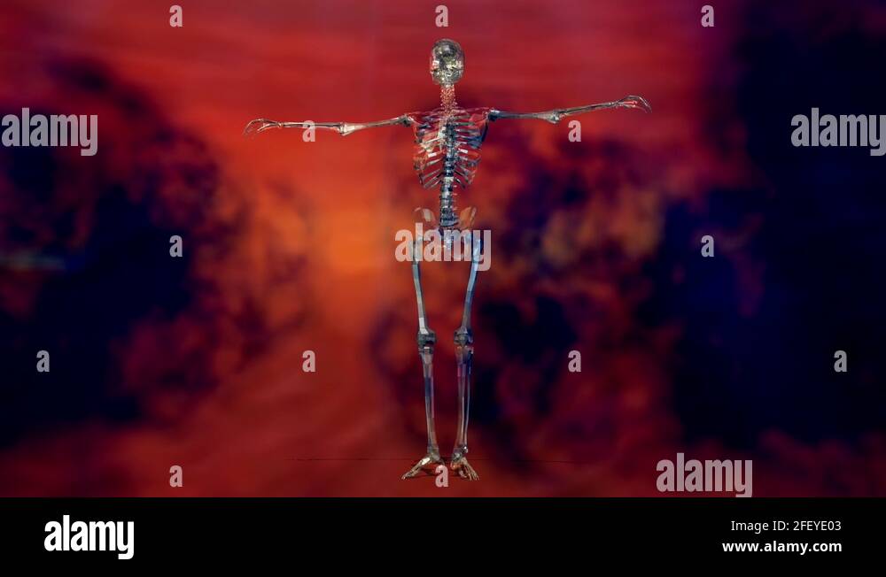 Mystic skeleton Stock Videos & Footage - HD and 4K Video Clips - Alamy