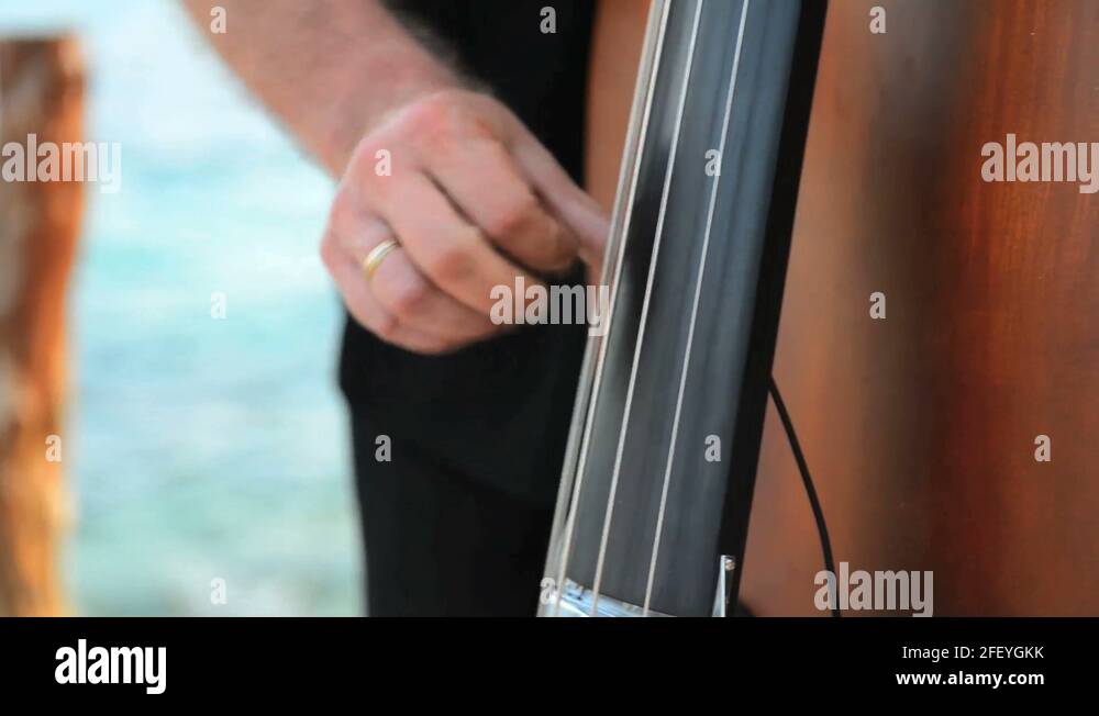 Contrabassist Stock Videos & Footage - HD and 4K Video Clips - Alamy