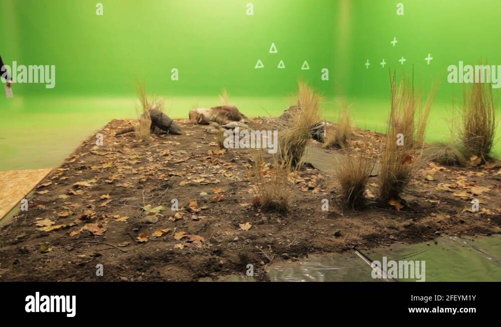 Green screen film set Stock Videos & Footage - HD and 4K Video Clips ...