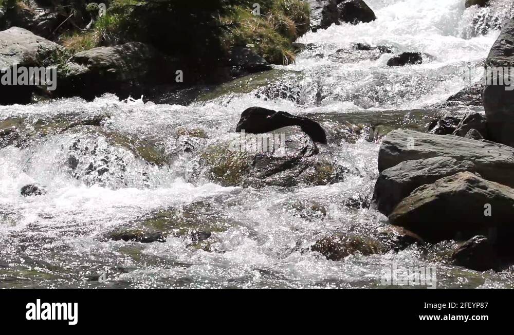 Stable rocks Stock Videos & Footage - HD and 4K Video Clips - Alamy