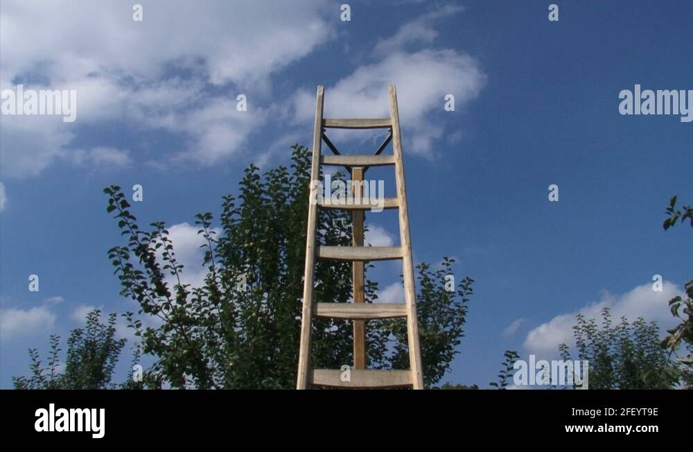 Tripod ladder Stock Videos & Footage - HD and 4K Video Clips - Alamy
