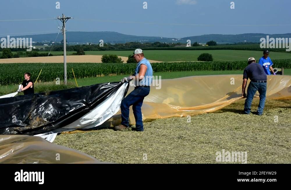 Hay and silage Stock Videos & Footage - HD and 4K Video Clips - Alamy