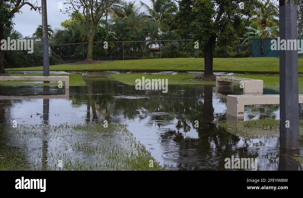 Flooded park Stock Videos & Footage - HD and 4K Video Clips - Alamy