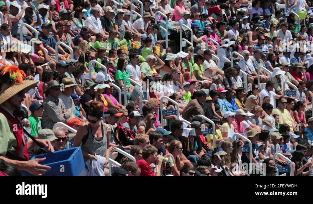 Stadium seat standing Stock Videos & Footage - HD and 4K Video Clips ...