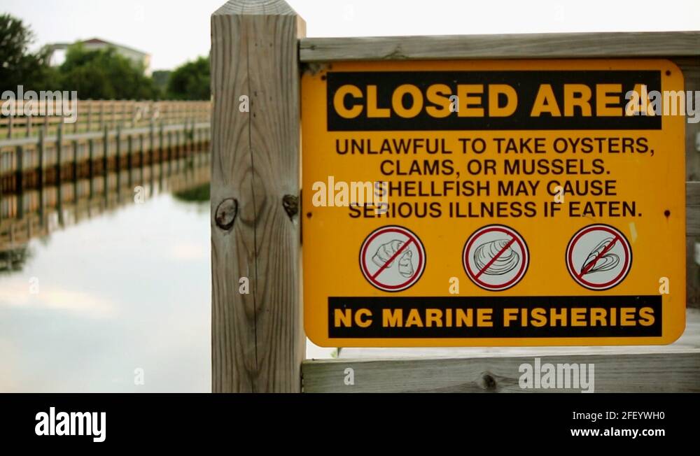 Sign with symbol shell Stock Videos & Footage - HD and 4K Video Clips ...