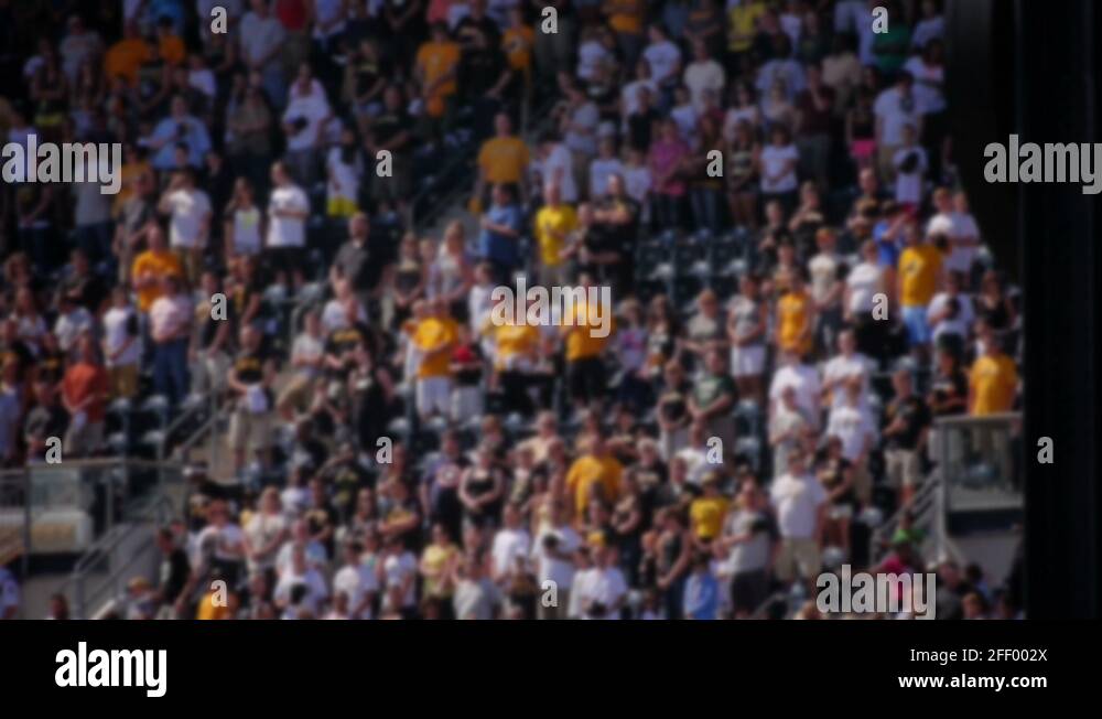 Rugby stadium crowd Stock Videos & Footage - HD and 4K Video Clips - Alamy