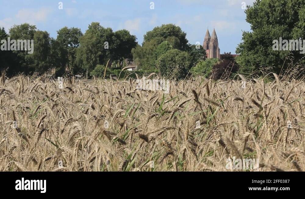 Church of seed Stock Videos & Footage - HD and 4K Video Clips - Alamy