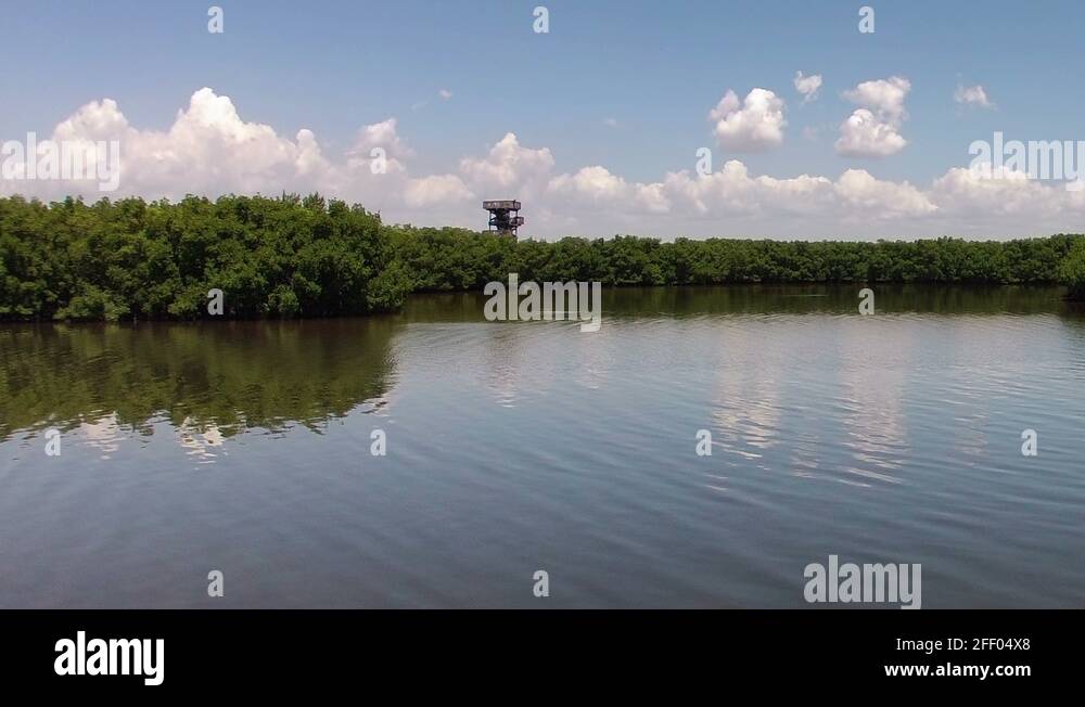Weedon Stock Videos & Footage - HD and 4K Video Clips - Alamy