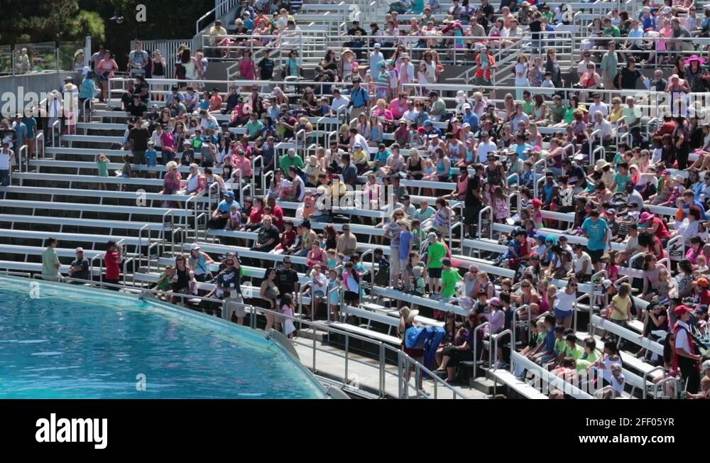 Crowd stadium seats Stock Videos & Footage - HD and 4K Video Clips - Alamy