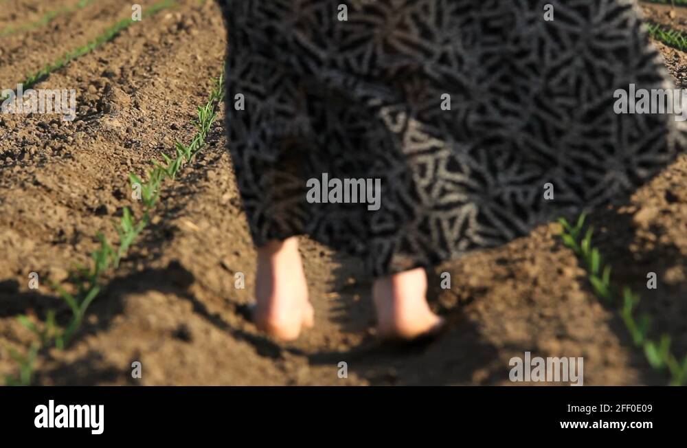 Woman feet step barefoot on spring soil, long skirt in wind breeze ...